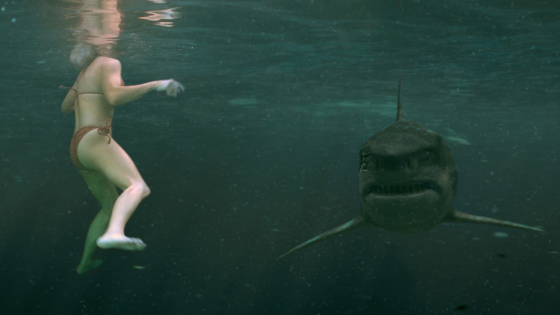 Shark Warning Lej Eller Køb Og Stream På Blockbuster