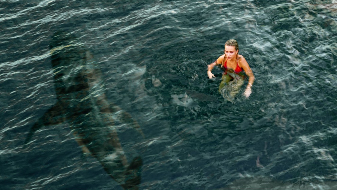 Shark Warning Lej Eller Køb Og Stream På Blockbuster