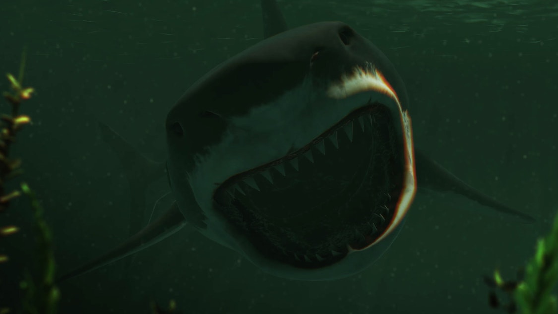 Bull Shark Lej Eller Køb Og Stream På Blockbuster